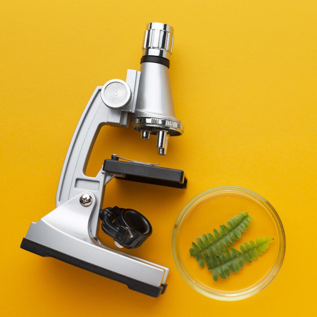 light-vs-electron-microscopes-|-gcse-biology-explained